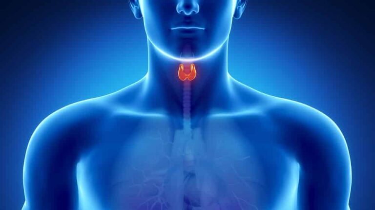 Câncer de laringe - Portal Drauzio Varella