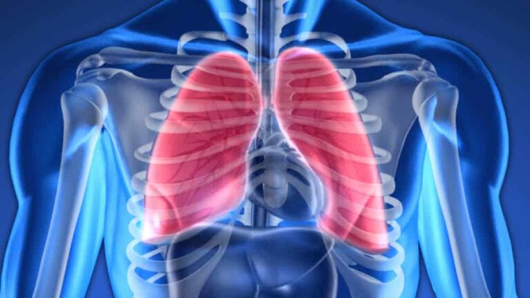 Como é construído o pulmão? - Portal Drauzio Varella