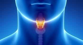 Laringe | Drauzio Varella - Drauzio Varella