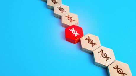 Quimerismo: 2 códigos genéticos em 1 corpo - Portal Drauzio Varella